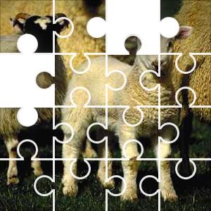 Lamb Jigsaw Puzzle - JigZone.com