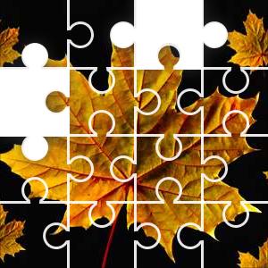 Fall Leaf Study Jigsaw Puzzle - JigZone.com