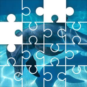Dolphin Jigsaw Puzzle - JigZone.com
