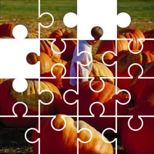 Pumpkin patch 6 Piece Classic Jigsaw Puzzle - JigZone.com