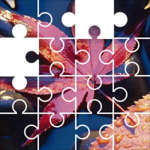 Red leaf 67 Piece Classic Jigsaw Puzzle - JigZone.com