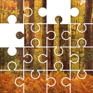 Woodland in the Fall Jigsaw Puzzle - JigZone.com