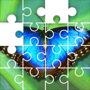 Butterfly Jigsaw Puzzle - JigZone.com