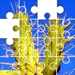 Cactus Jigsaw Puzzle - JigZone.com