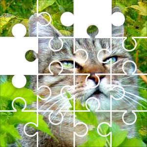 Cat 9 20 Piece Classic Jigsaw Puzzle - JigZone.com