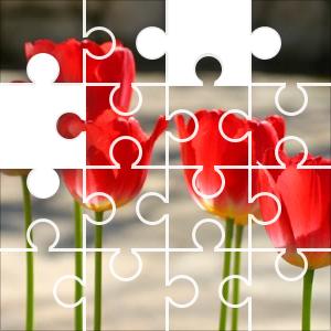 Red Tulips Jigsaw Puzzle - JigZone.com