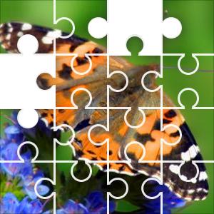 Butterfly Jigsaw Puzzle - JigZone.com