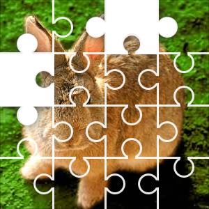Bunny Jigsaw Puzzle - JigZone.com