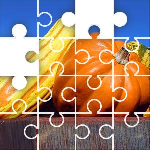 Pumpkin Squash Jigsaw Puzzle - JigZone.com