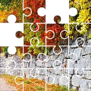 Fall & Wall Jigsaw Puzzle - JigZone.com