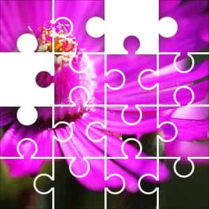 Purple Flowering Jigsaw Puzzle - JigZone.com