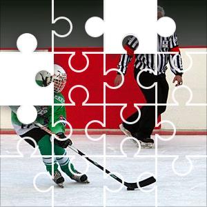 Ice Hockey Jigsaw Puzzle - JigZone.com