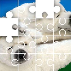 Polar Bears Jigsaw Puzzle - JigZone.com