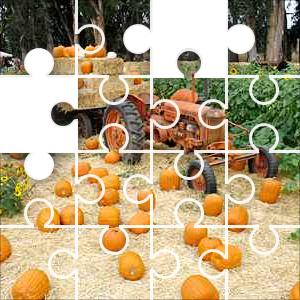 Pumpkin Farm Jigsaw Puzzle - JigZone.com