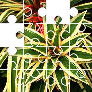 Pineapple Jigsaw Puzzle - JigZone.com