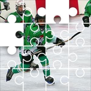Ice Hockey Jigsaw Puzzle - JigZone.com