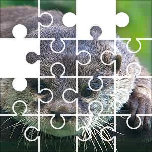 Otter 67 Piece Classic Jigsaw Puzzle - JigZone.com
