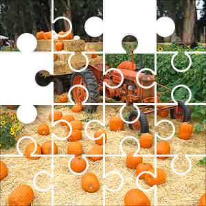 Pumpkin patch 67 Piece Classic Jigsaw Puzzle - JigZone.com