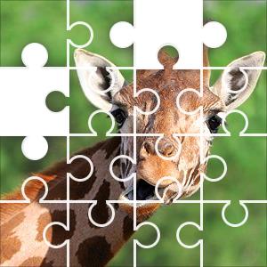 Giraffe Jigsaw Puzzle - JigZone.com