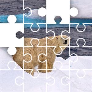 Polar Bear Jigsaw Puzzle - JigZone.com