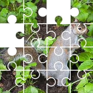 Squirrel in Green 67 Piece Classic Jigsaw Puzzle - JigZone.com
