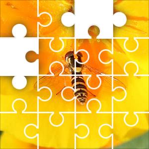 Insect pop 67 Piece Classic Jigsaw Puzzle - JigZone.com