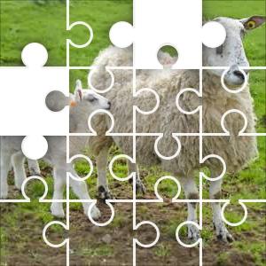 Sheep & Lambs Jigsaw Puzzle - JigZone.com