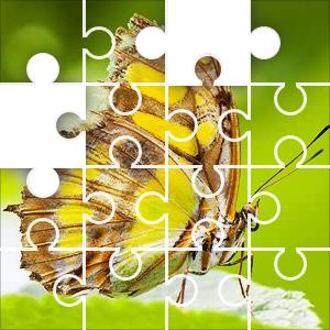 Butterfly Malachite Jigsaw Puzzle - JigZone.com
