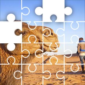 Camel in Desert Jigsaw Puzzle - JigZone.com