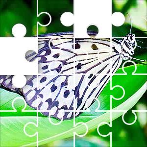 Butterfly BWG Jigsaw Puzzle - JigZone.com