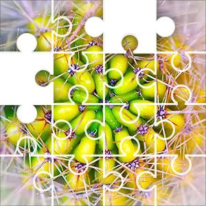 Cactus Top Down 67 Piece Classic Jigsaw Puzzle - JigZone.com