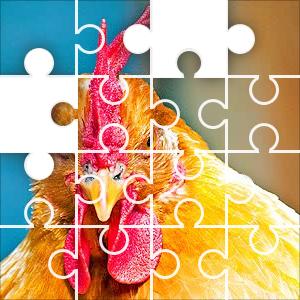 Chicken Towards 70 Piece Bulbs Jigsaw Puzzle - JigZone.com