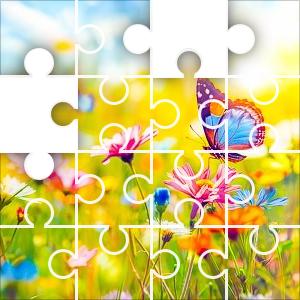 Butterfly Color Meadow 80 Piece Classic Jigsaw Puzzle - JigZone.com