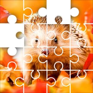 Daily Jigsaw Puzzle 2024-12-07 Hedgehog in Fall Leaves - JigZone.com
