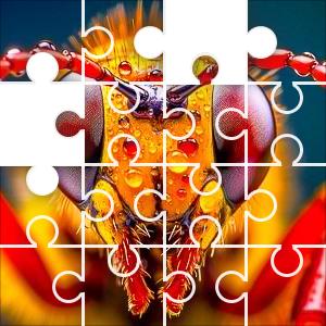 Insect Head Close Jigsaw Puzzle - JigZone.com