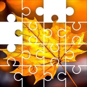 Maple Leaf Autumn Jigsaw Puzzle - JigZone.com