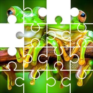Daily Jigsaw Puzzle 2025-01-21 Two Frog Stick - JigZone.com