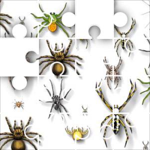 Spiders Jigsaw Puzzle - JigZone.com